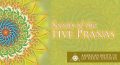 Secrets of the Five Pranas | American Institute of Vedic Studies