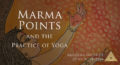 Marma Points and the Practice of Yoga – American Institute of Vedic Studies