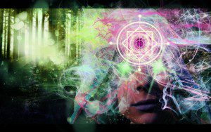 The Secret of the Soma Plant | American Institute of Vedic Studies