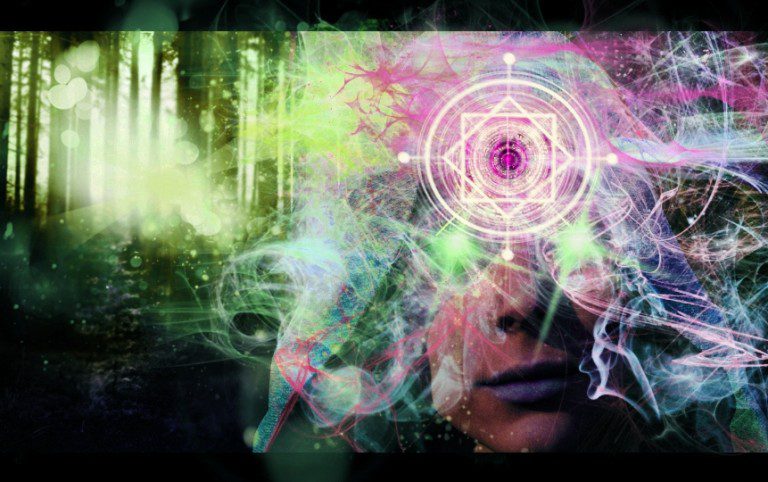 The Secret of the Soma Plant | American Institute of Vedic Studies