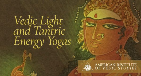 Vedic Origins of Yoga – American Institute of Vedic Studies