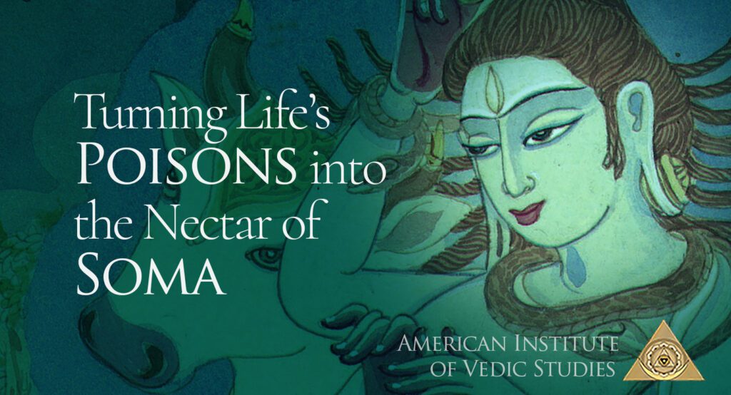 American Institute of Vedic Studies – Spreading the light of the Vedas