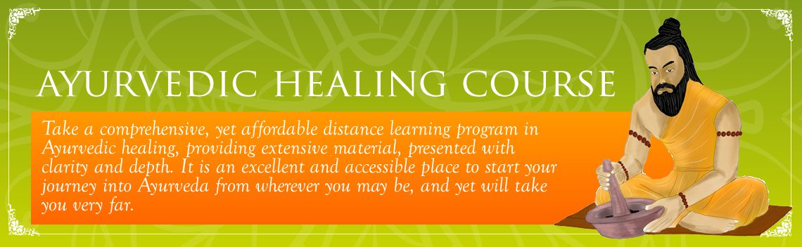 American Institute of Vedic Studies – Spreading the light of the Vedas