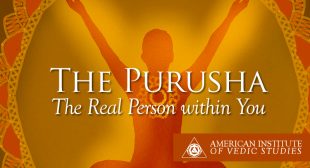 The Purusha, the Real Person within You – American Institute of Vedic ...