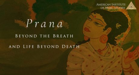 Prana Beyond the Breath and Life Beyond Death – American Institute of ...