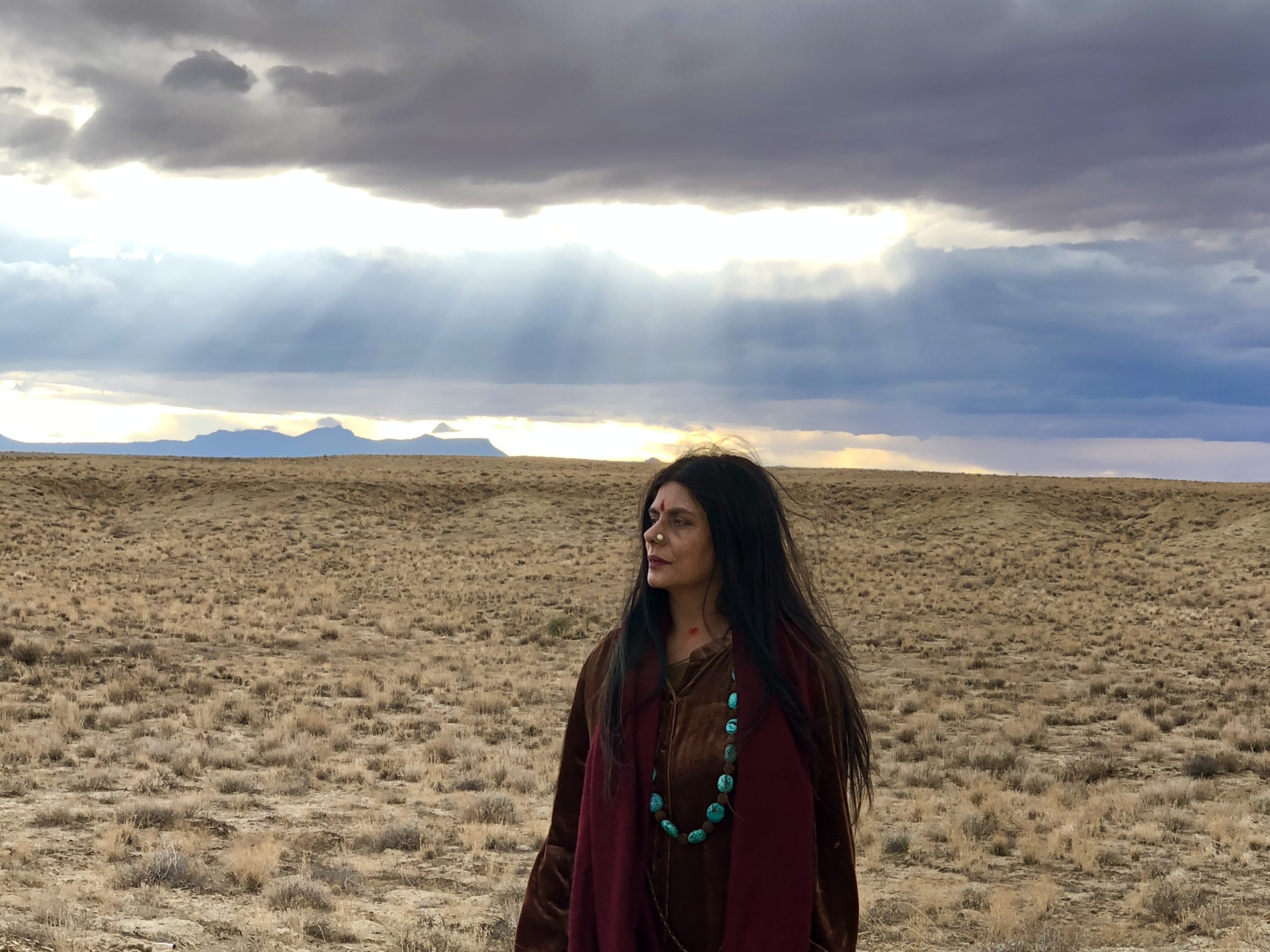 Astrological Consultations – American Institute of Vedic Studies