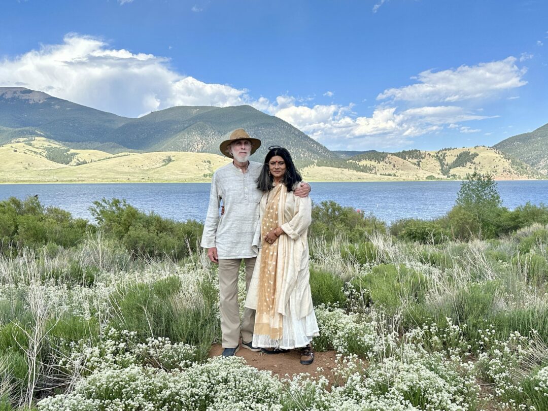 Ananda: What is its True Meaning? | American Institute of Vedic Studies