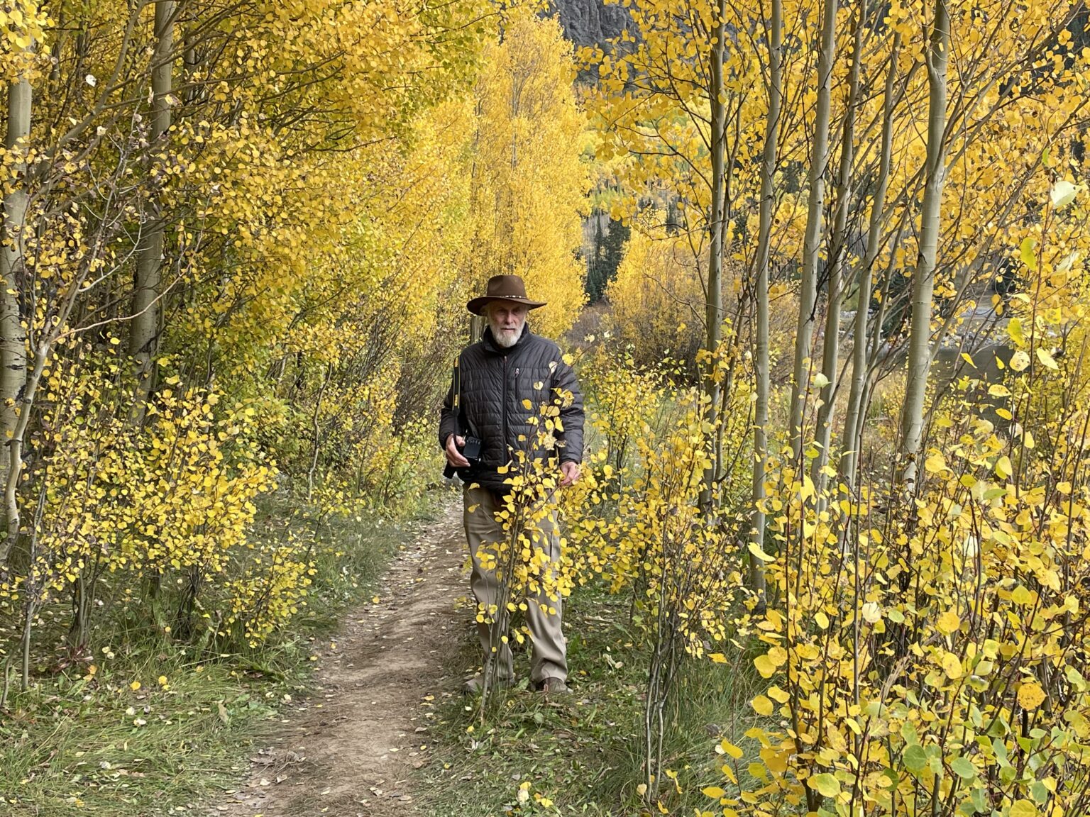 Dr David Frawley | American Institute of Vedic Studies