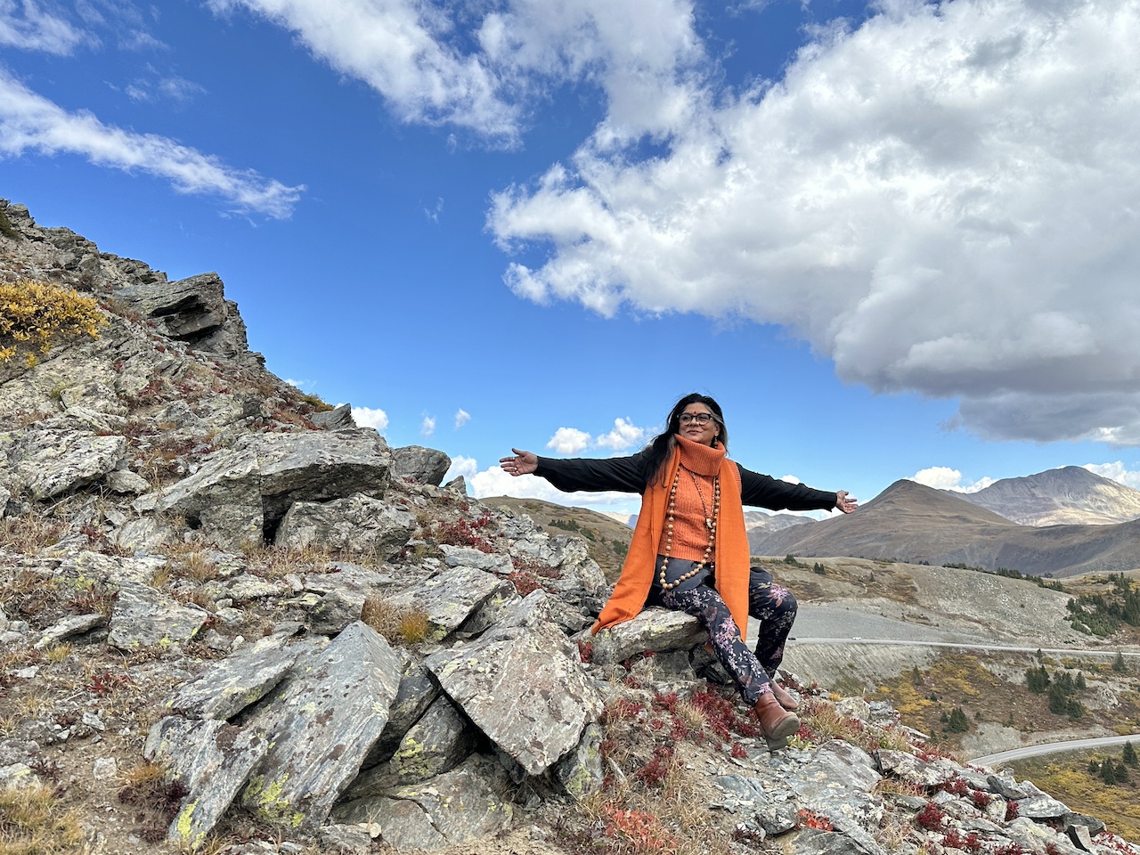 Rta ऋत, the Great Vedic Cosmic Order | American Institute of Vedic Studies